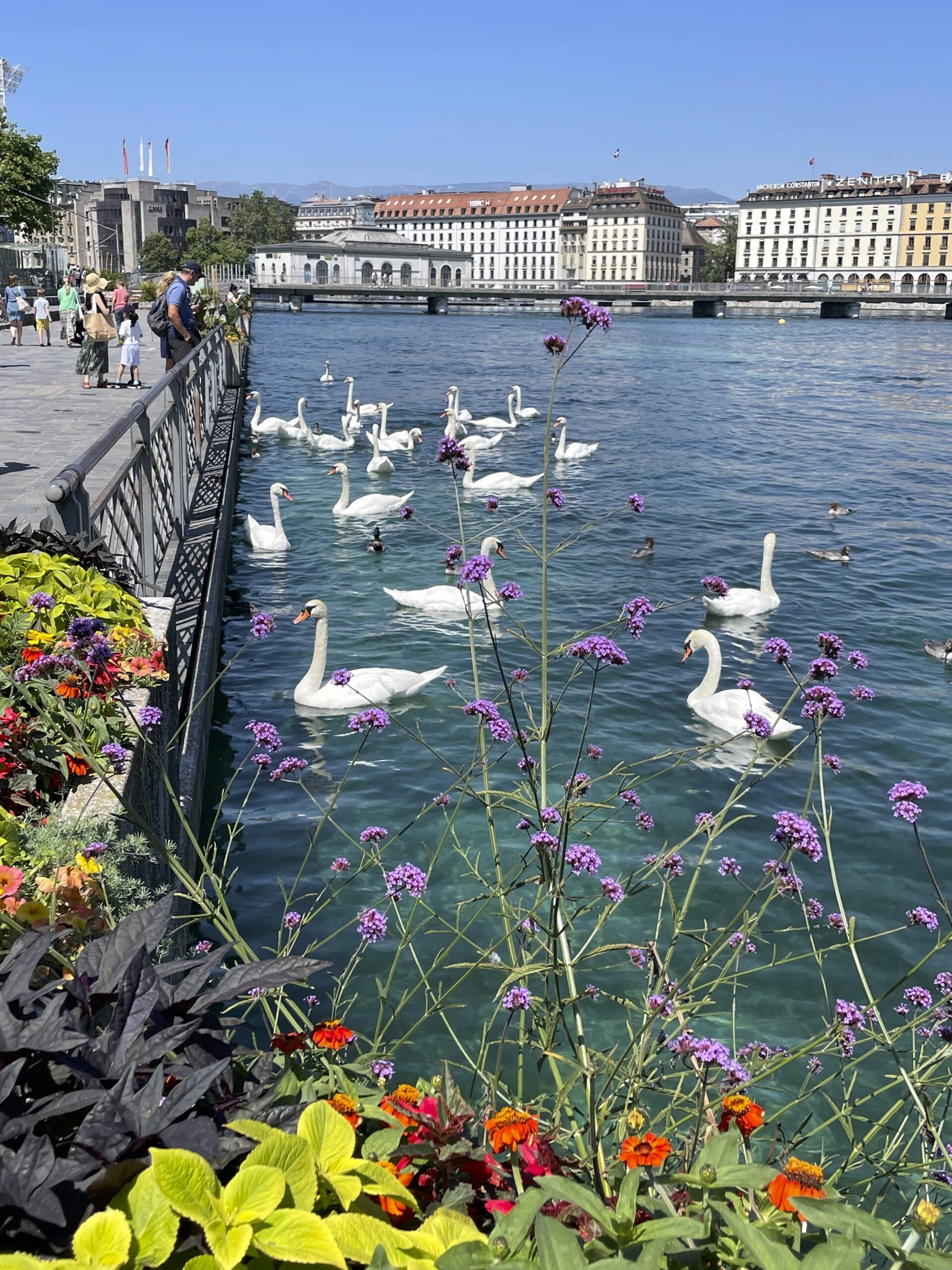 Vegan in Genève: mijn tips voor een paar dagen in deze prachtige stad ...